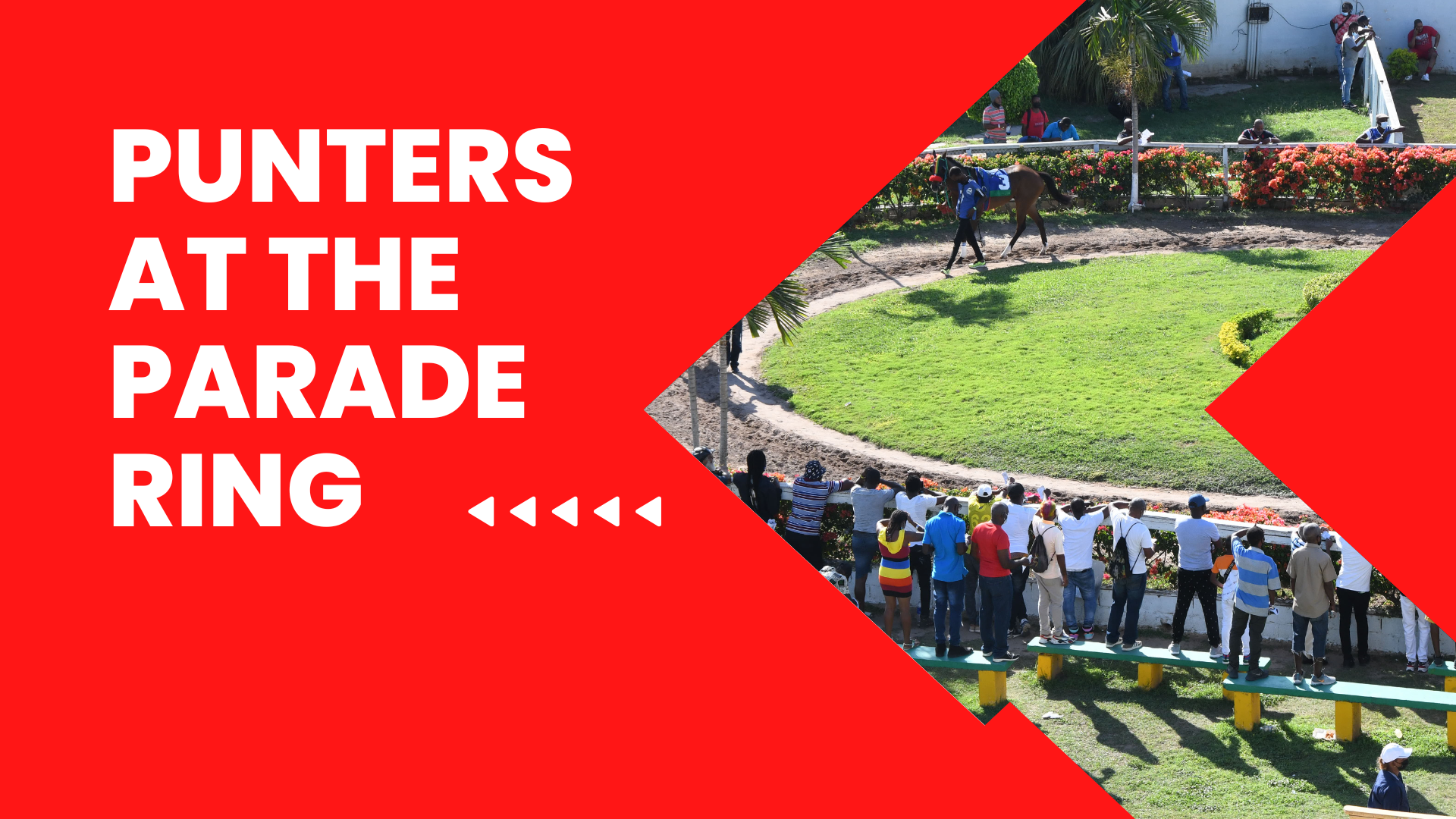 The Sunday (Jan 26) Exotics By Punters At The Parade Ring ...