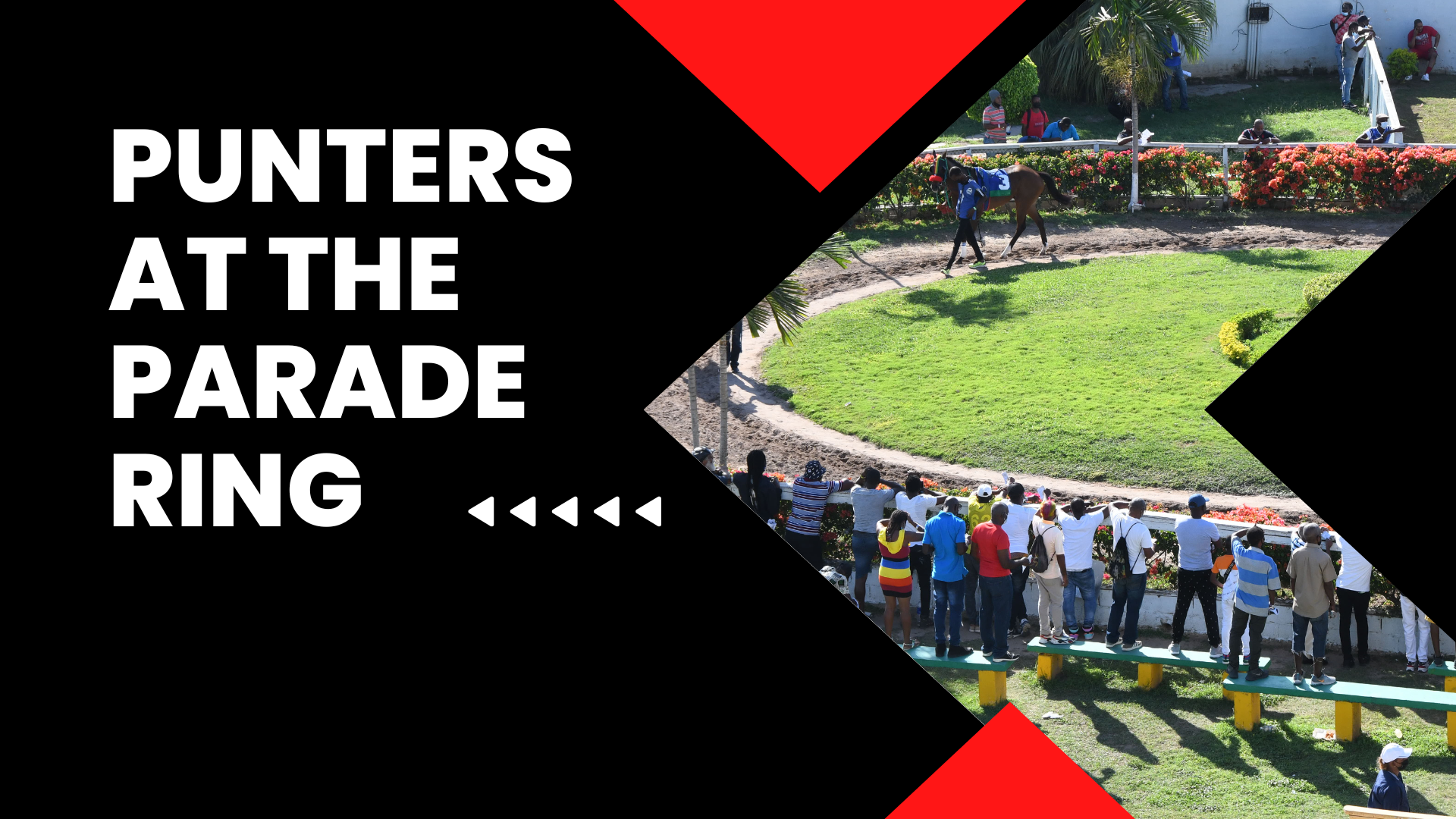 Punters At The Parade Ring Exotics – Sat, Oct 11, 2025 - Quickgallopja.com