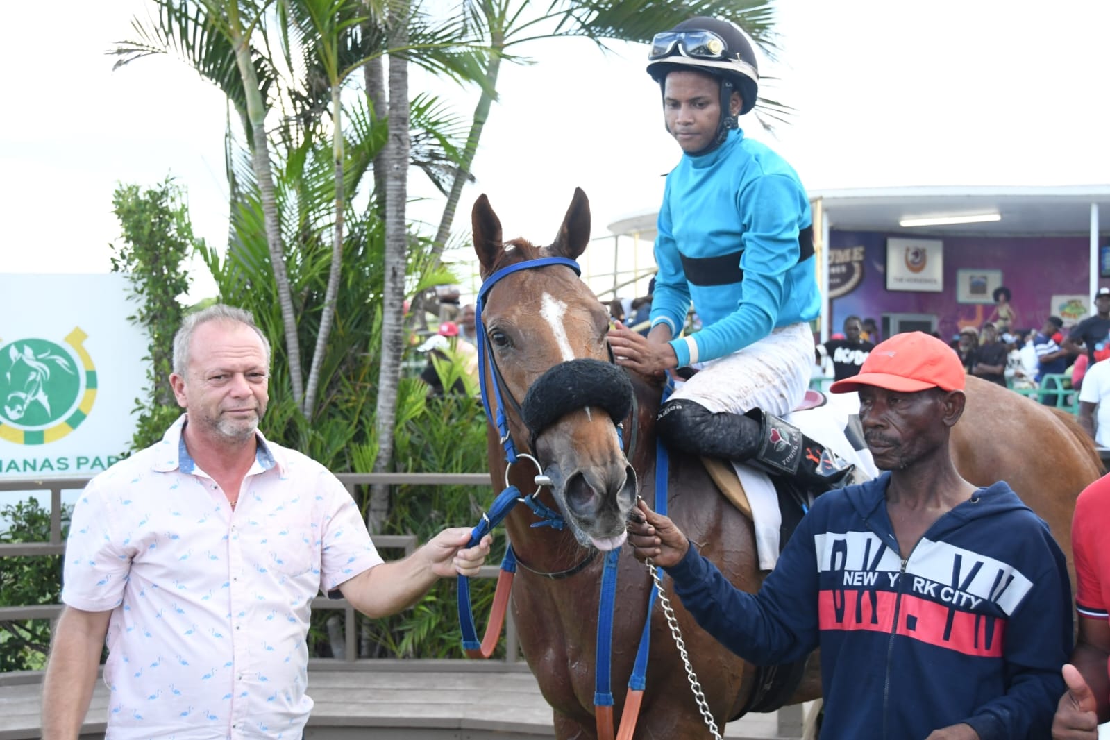 Desert Of Malibu First Entry Catches Interest – The History ...