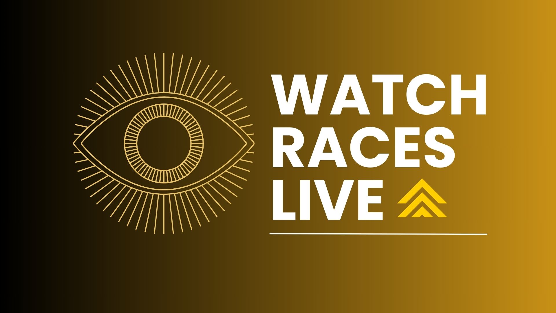 Watch Races Live On Quickgallopja.com | Sat, Nov 9, 2024 ...