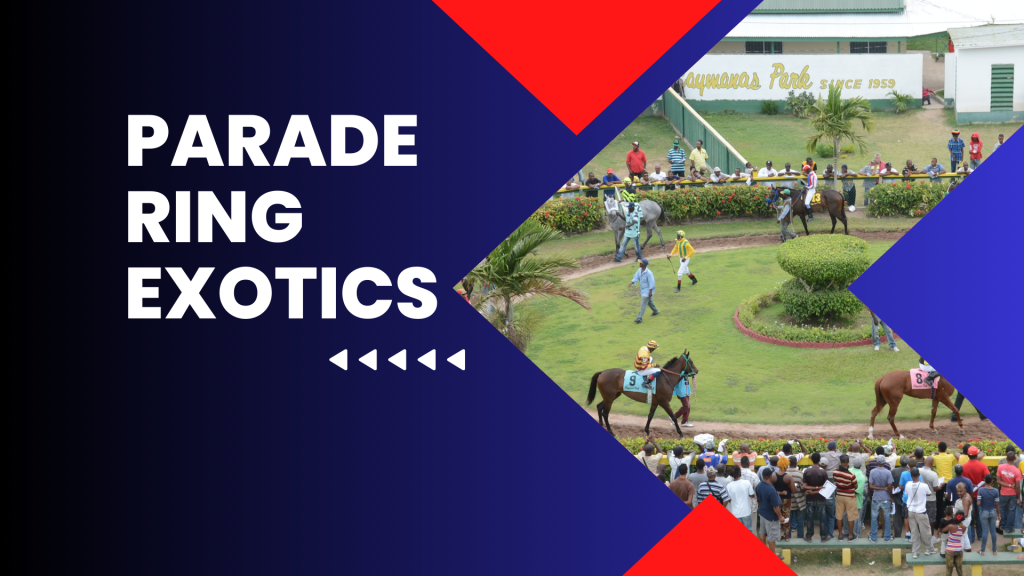 Parade Ring Punters Exotics For Sat, Oct 14, 2023 - Quickgallopja.com