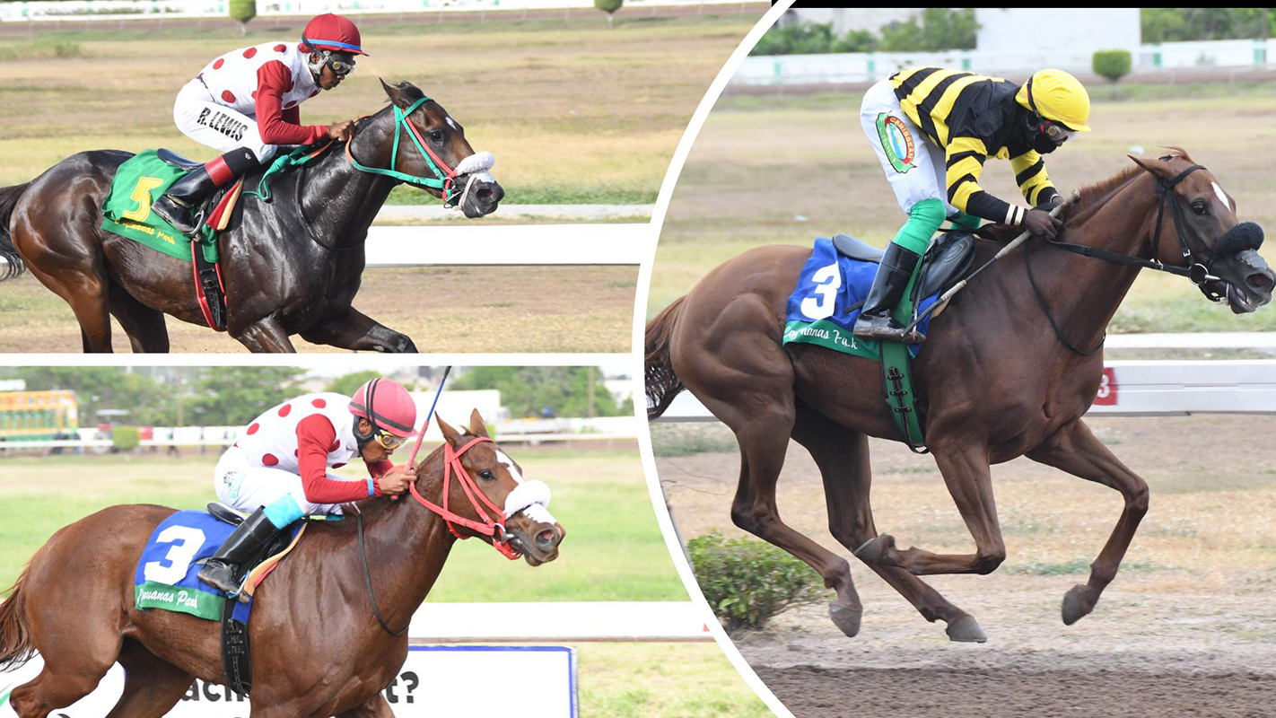 Cannot go against Atomica in Ian Levy Cup - Quickgallopja.com