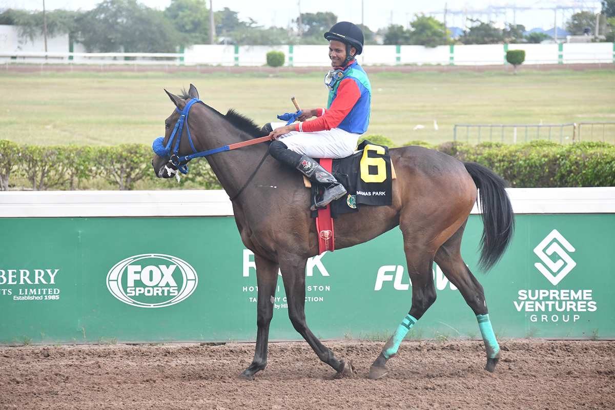 AT THE TRACK: Thurs, Feb 15, 2024 | SportsMax TV - Quickgallopja.com