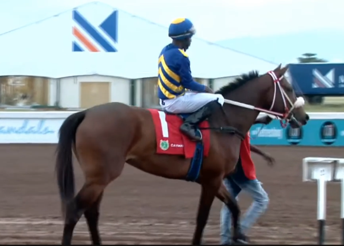 Firecracker Wins On Debut | Sun, Feb 25, 2024, 7th - Quickgallopja.com