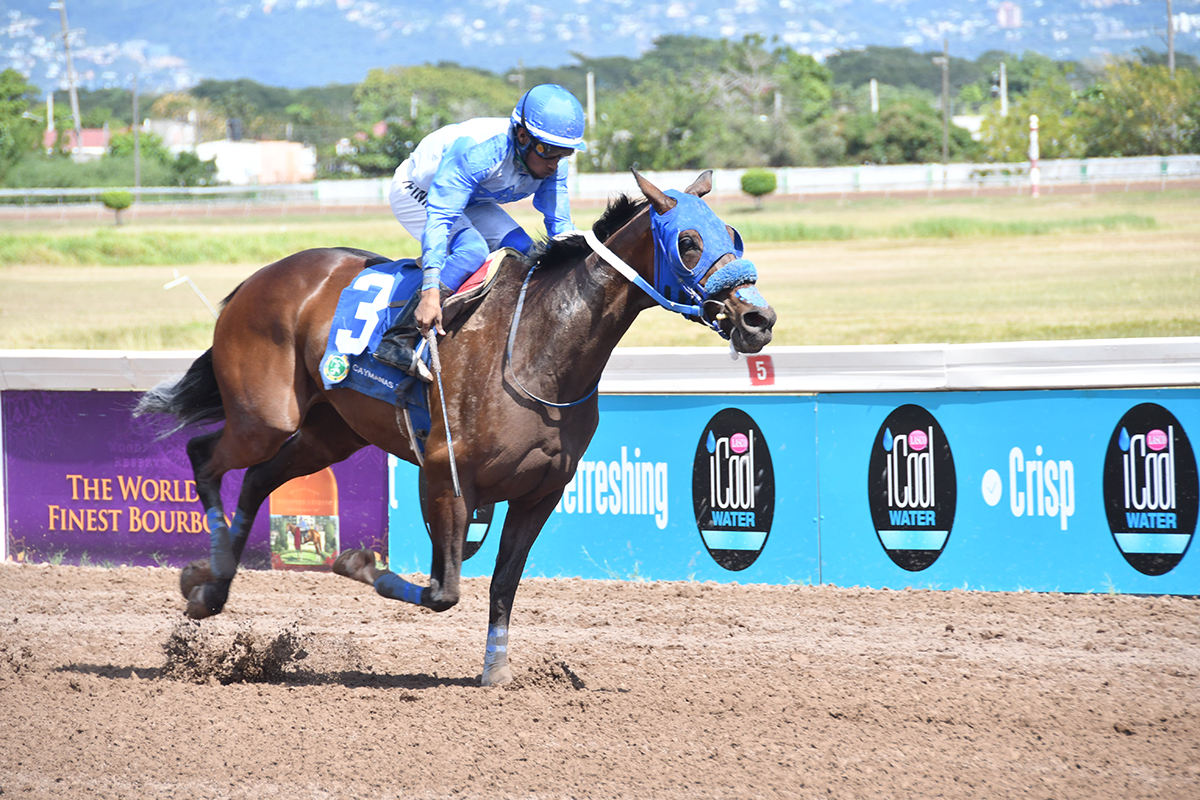 The Analysis – Race Day Of Sat, February 3, 2024 - Quickgallopja.com