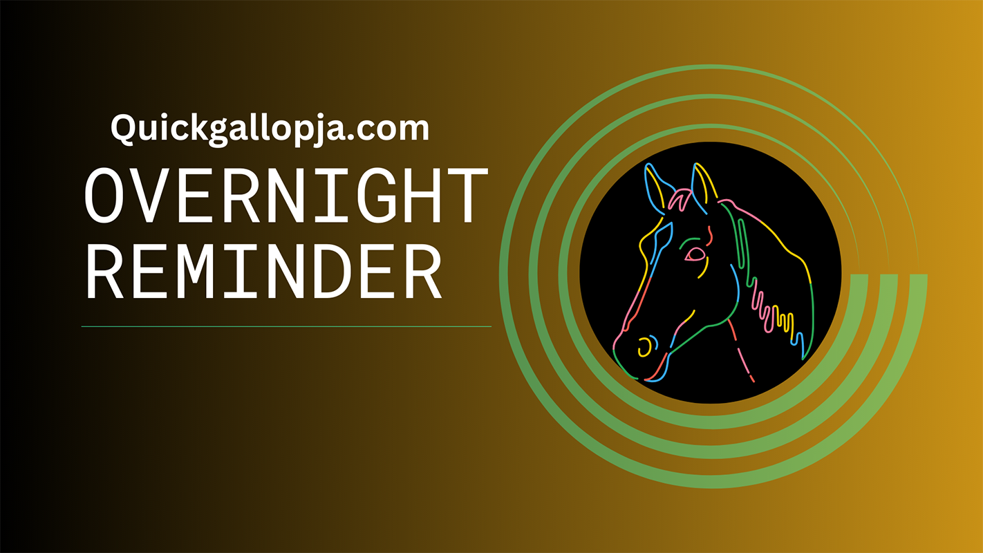 Overnight Reminder For Tuesday, December 24, 2024 - Quickgallopja.com