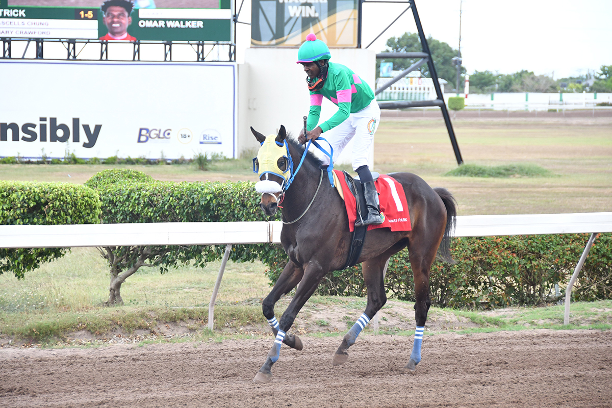 An Examination Of The Sunday, March 24, 2024, Race Day - Quickgallopja.com