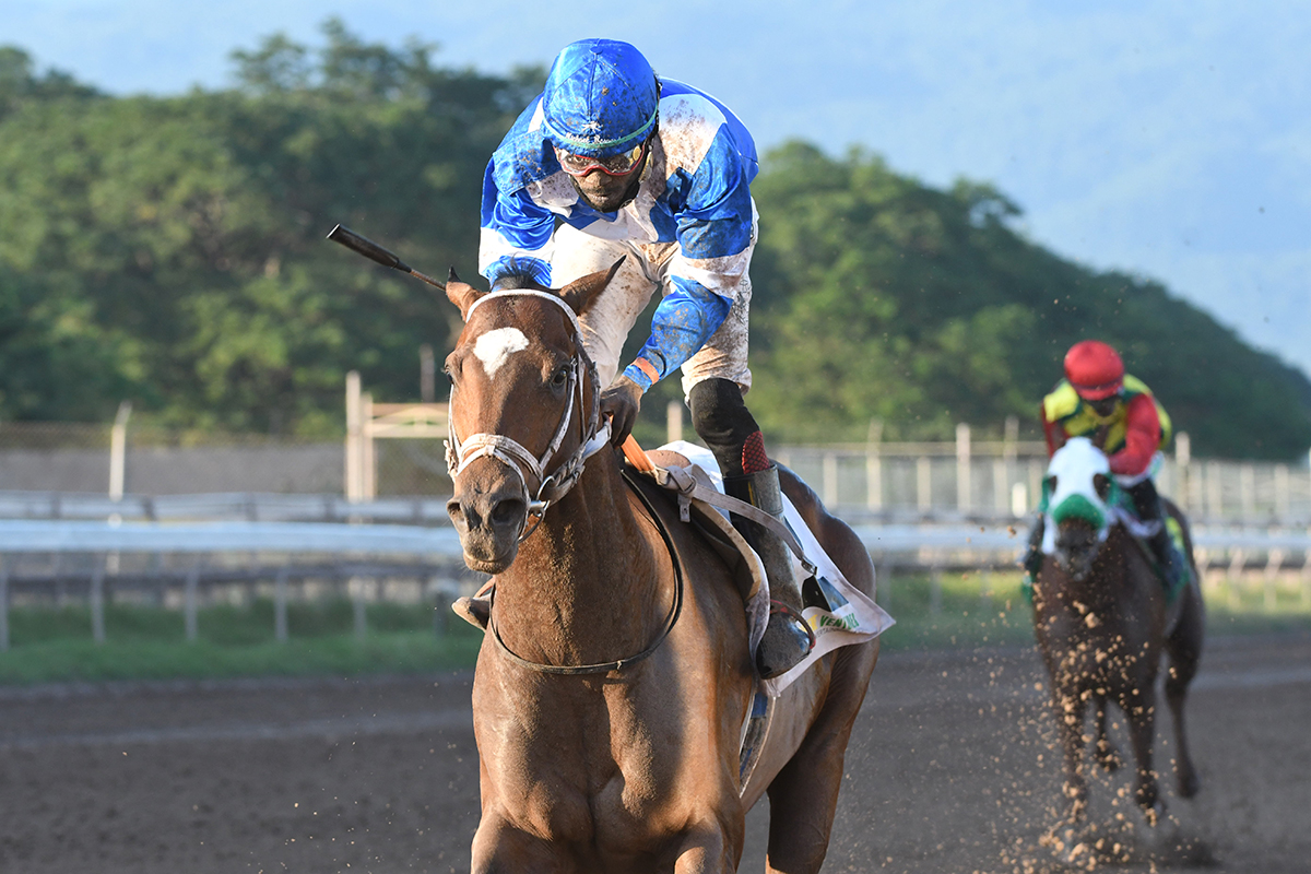 Past Winners Of The Sir Howard Stakes - Quickgallopja.com