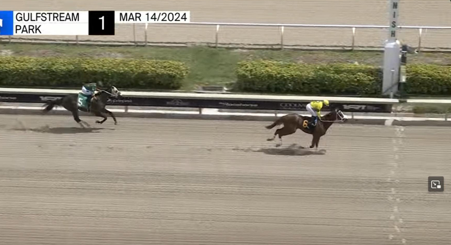 Watch Trainer Rohan Crichton Win At Gulfstream - Quickgallopja.com