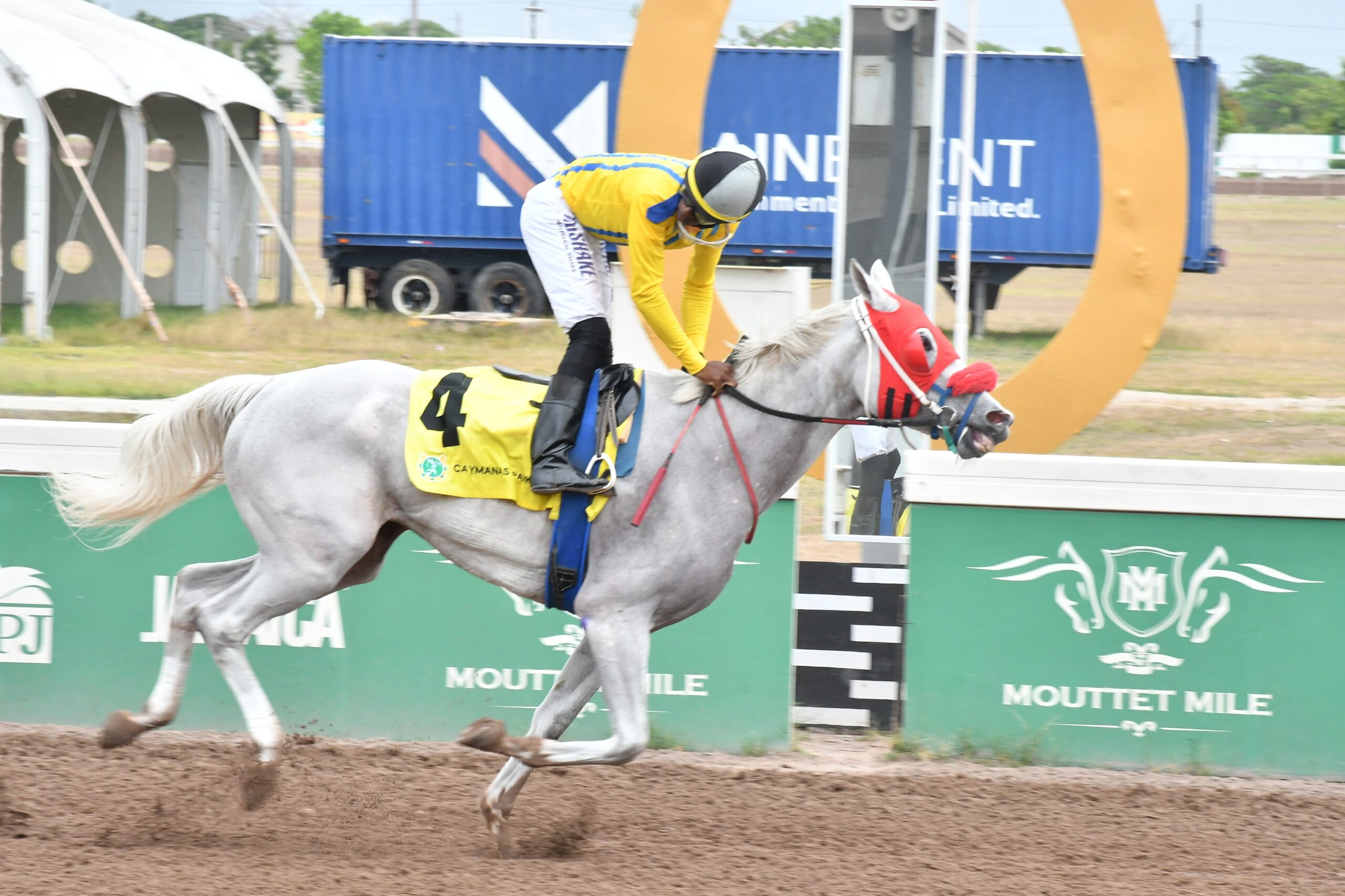 Cotterwood Kathy At 2-1 In Sun, April 14, 2024, 2nd - Quickgallopja.com