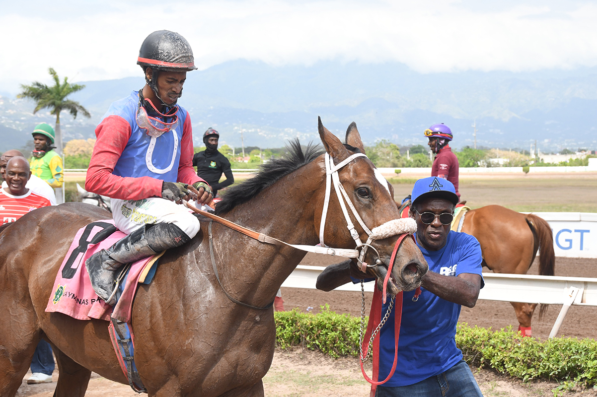 Race By Race Examination For Sat, March 30, 2024 - Quickgallopja.com