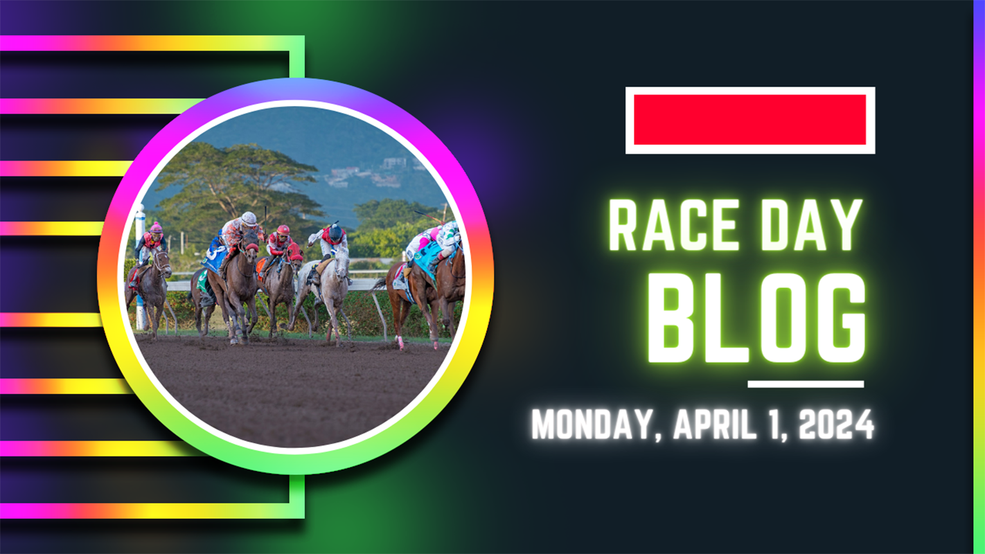 Race Day Blog - Monday, April 1, 2024 - Quickgallopja.com