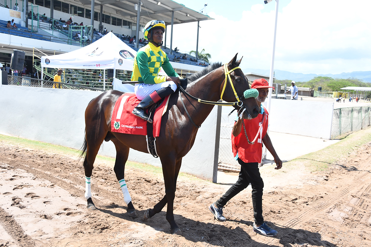 Wide Open 3-Year-Old Maiden Call On Sat, April 27, 2024 - Quickgallopja.com
