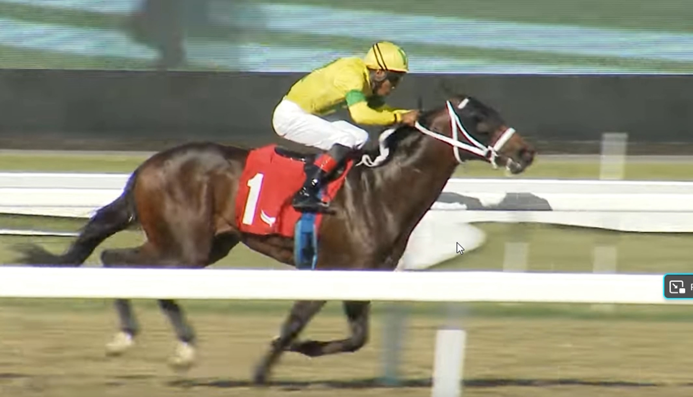 Watch Anthony Thomas, Rohan Crichton Gain Another Success At Gulfstream ...