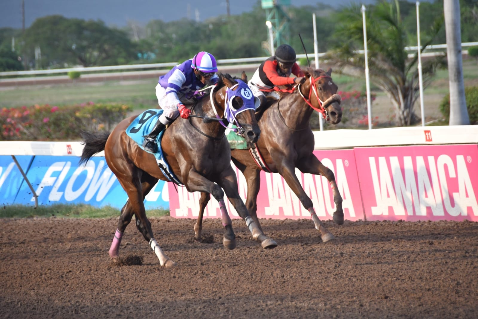 Easy To Watch Replays For Saturday, May 11, 2024 - Quickgallopja.com