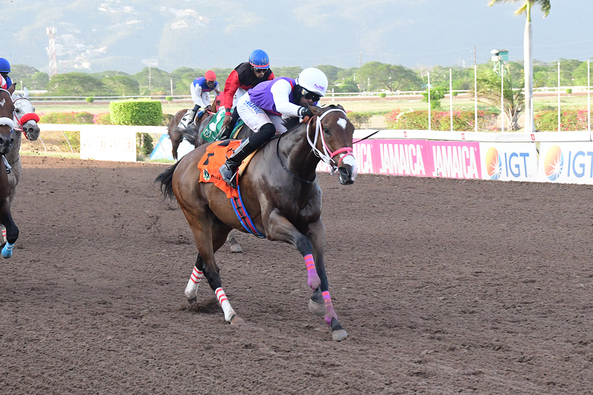 The Task Now Is To Protect Jordon Reign’s - Trainer Peter-John Parsard ...