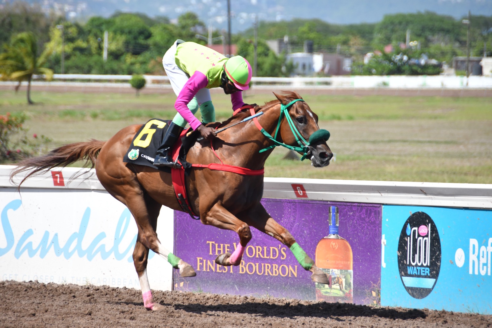 Sir Wong Don Finally A Winner | Sat, May 25. 2024, 4th - Quickgallopja.com