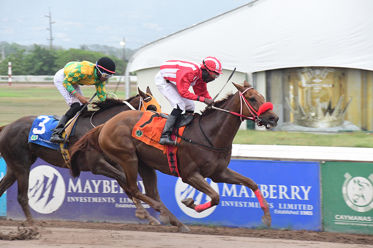 Watch All Finishes On Sat, June 1, 2024, At Caymanas Park ...