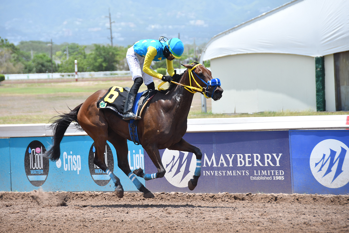 Princess Fianie Gets It Right In Sun, June 23, 2024 - Quickgallopja.com