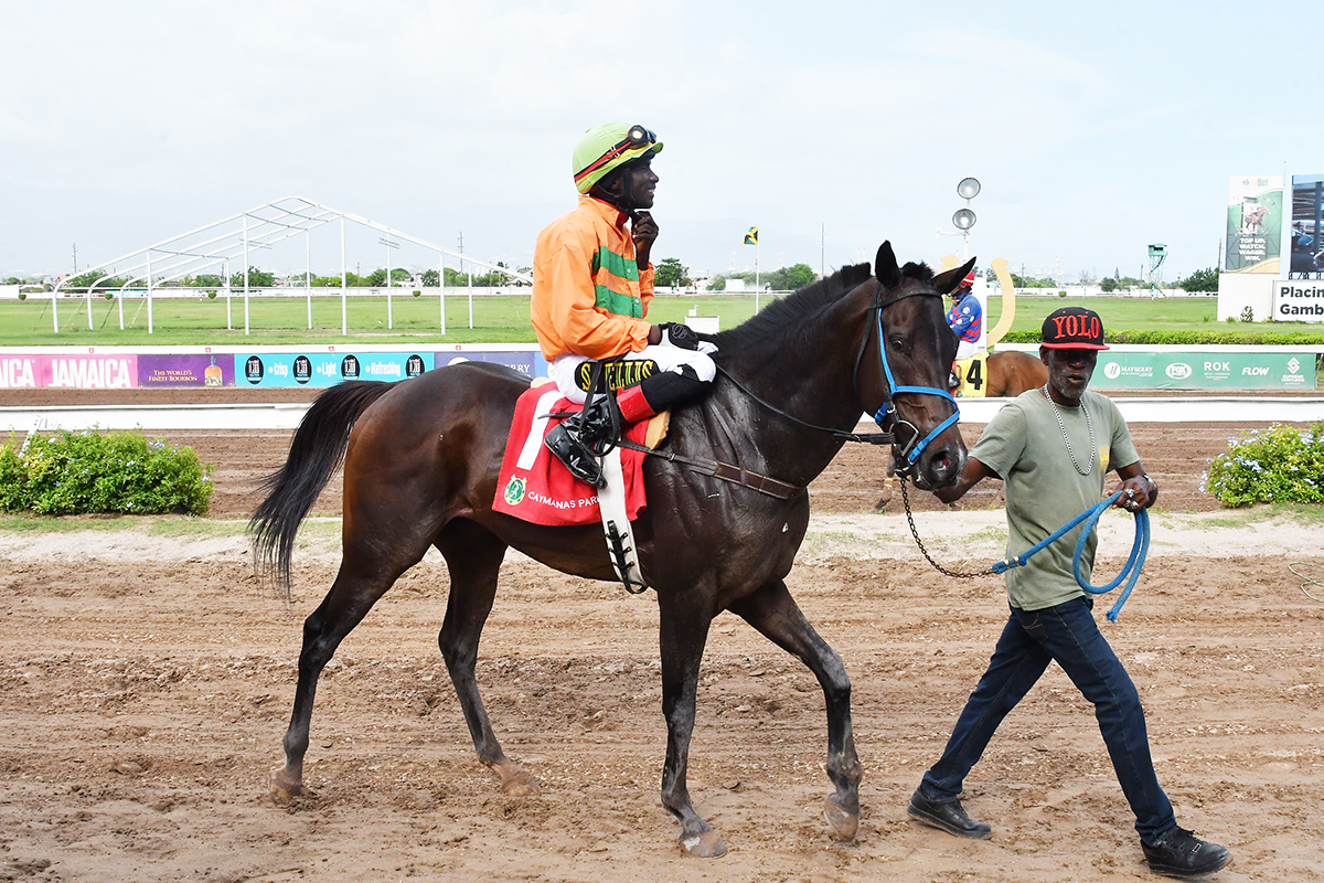Examining Race Day Of Monday, July 8, 2024 - Quickgallopja.com