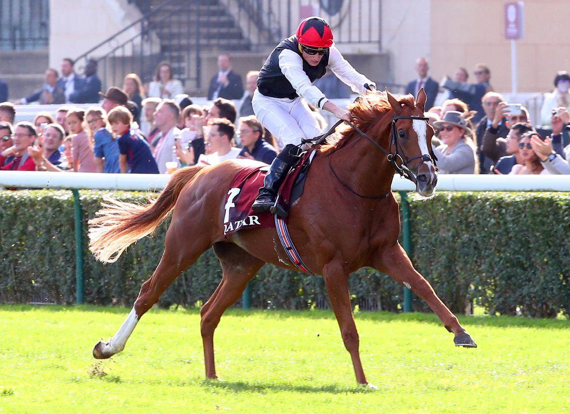 Watch Aiden O’Brien’s Kyprios Land 2024 Goodwood Cup. - Quickgallopja.com