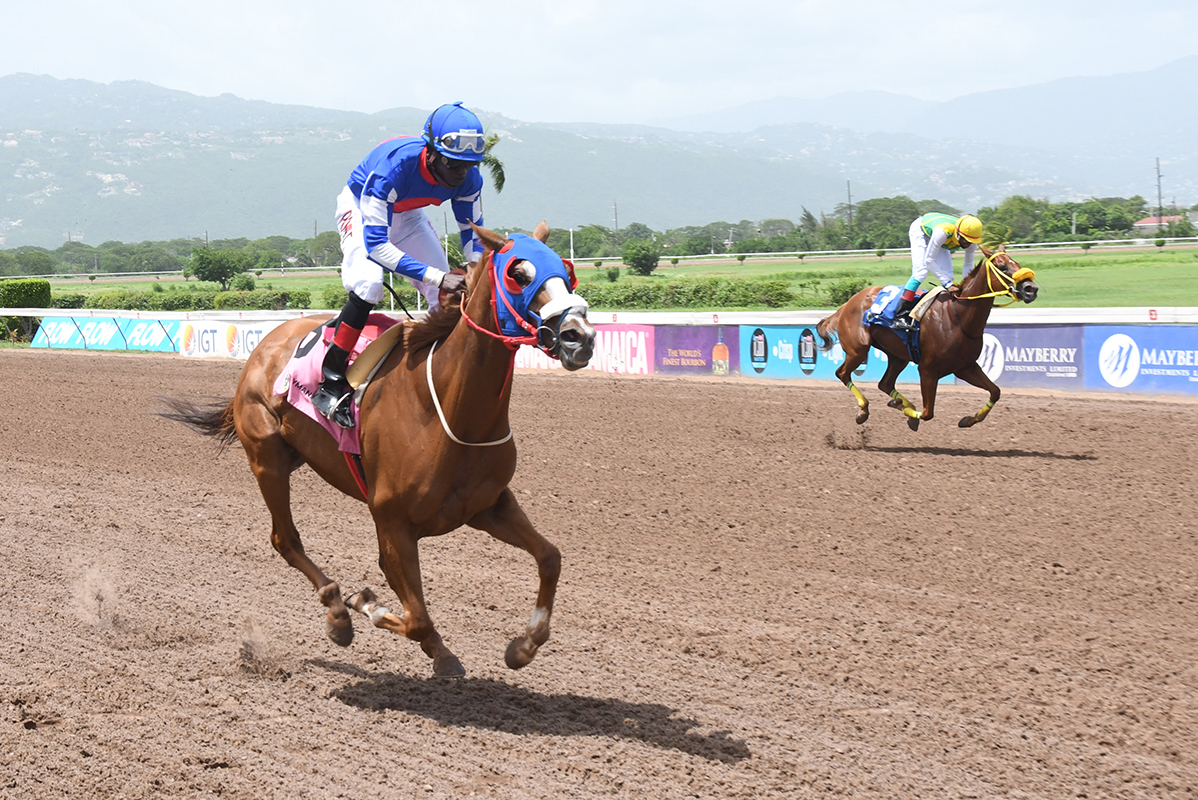 Caymanas Park Live Racing