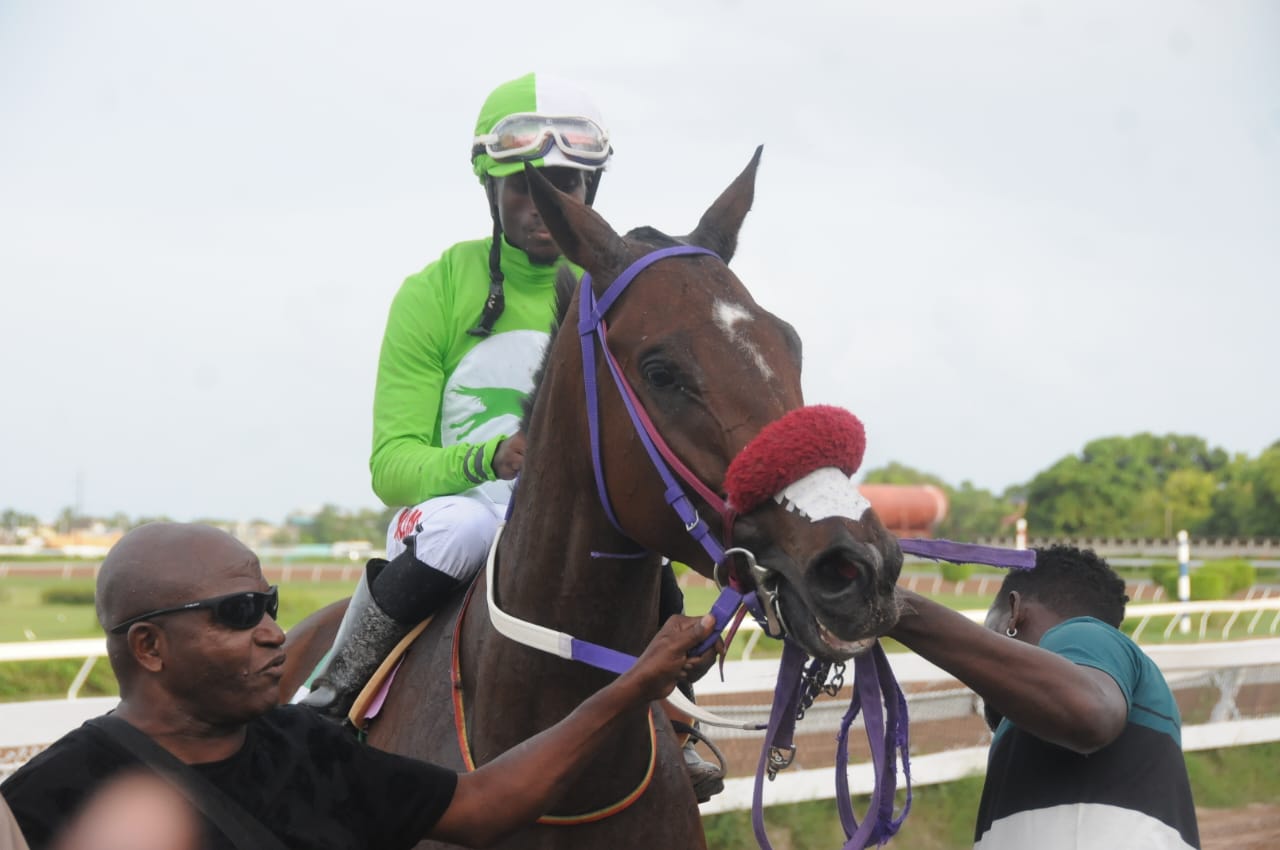 Mack And Rome Delivers At 5-1 In Sat, July 20, 2024, 9th ...