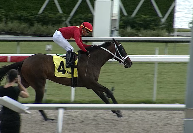 Trainer Rohan Crichton Doubles-Up At Gulfstream Park - Quickgallopja.com