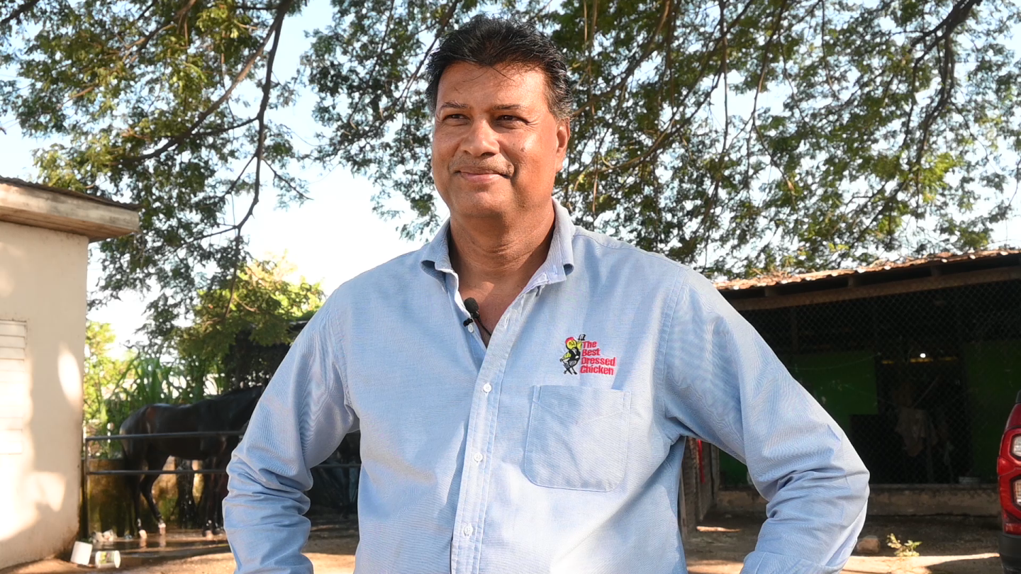 Trainer Ian Parsard Analyses His 2024 Jamaica Derby Runner ...