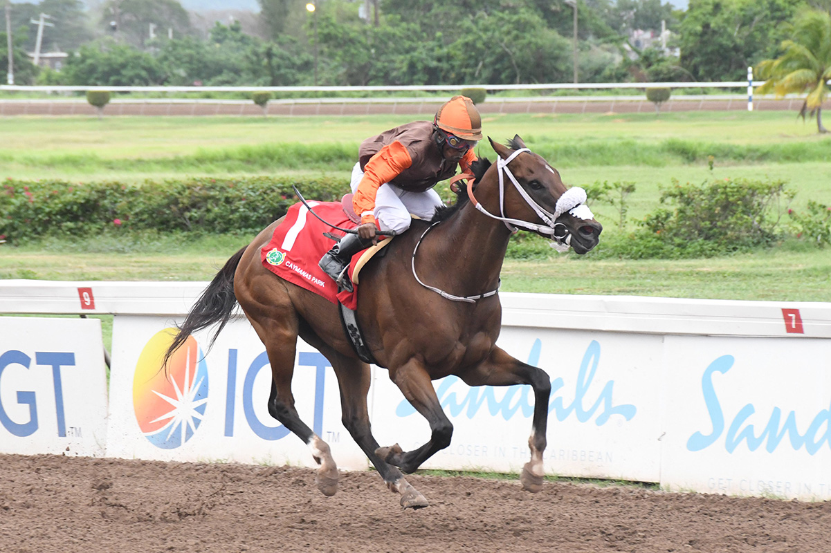 Going To The Money Market In Race 10 - Sat, Oct 26, 2024 ...