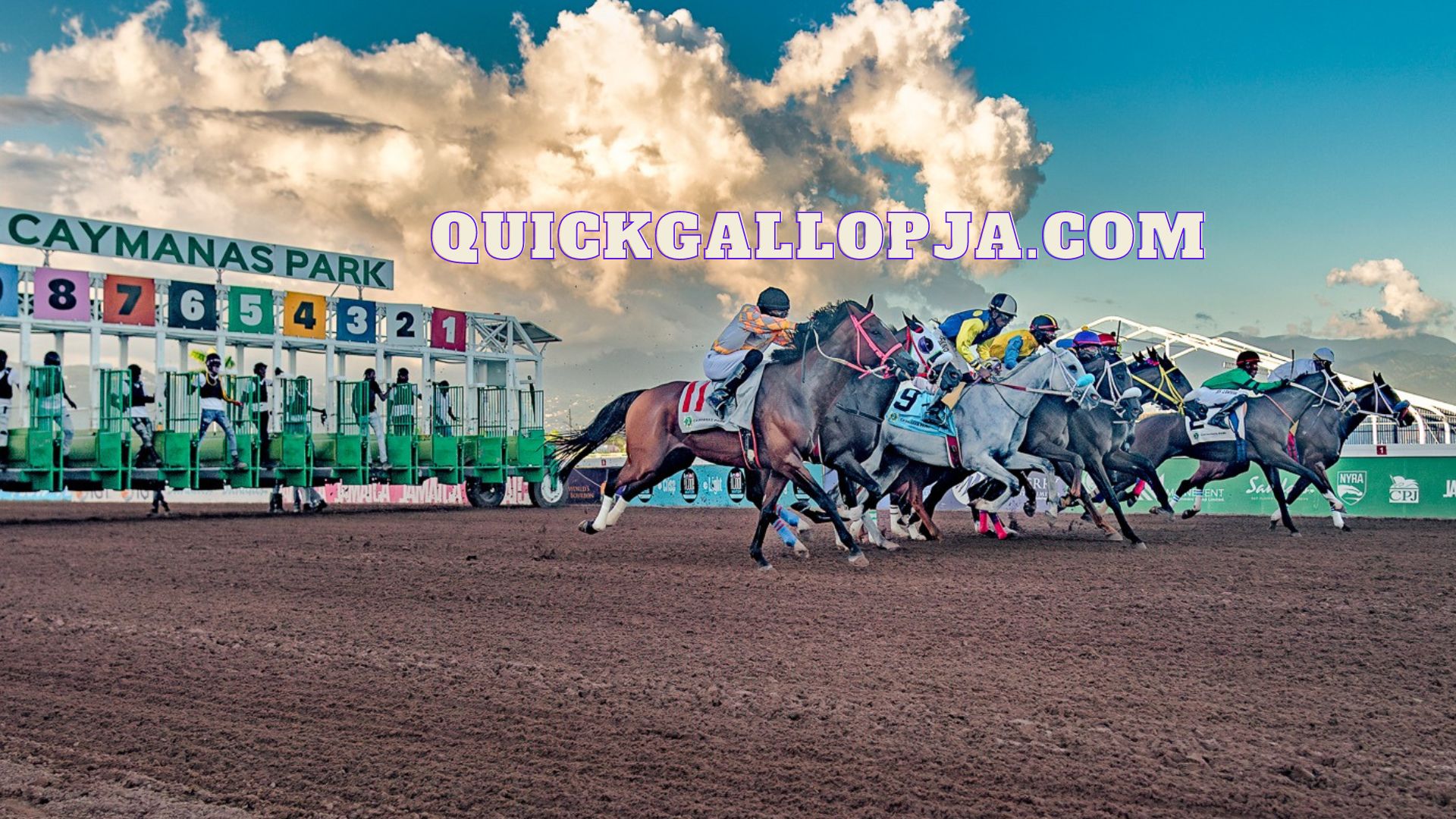 Wide Open 3-Year-Old Race 8 On Sat, October 5, 2024 - Quickgallopja.com