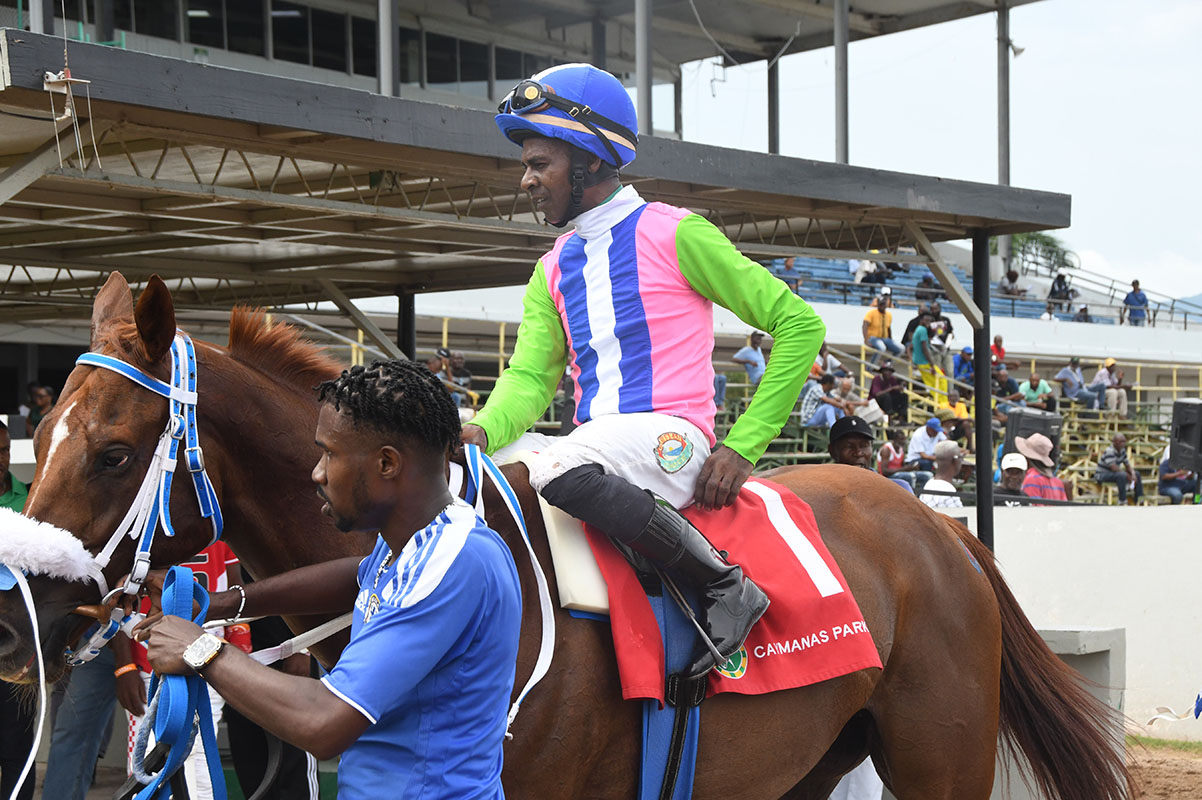All Finishes - Saturday, September 28, 2024 - Quickgallopja.com
