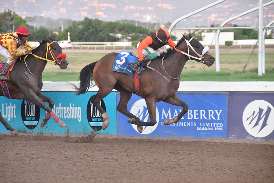 Money Market Shines In Gerry Skelton Memorial Trophy - Quickgallopja.com