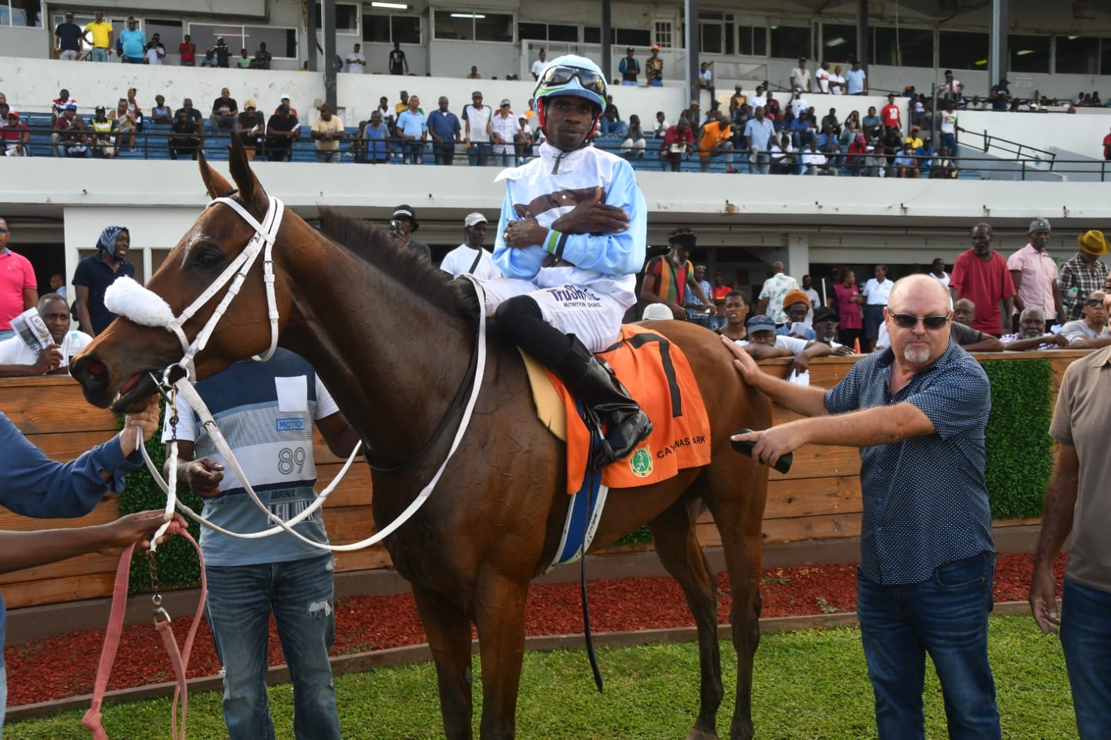 Legit Boss Wins Sat, Nov 2, 2024, 7th - Quickgallopja.com