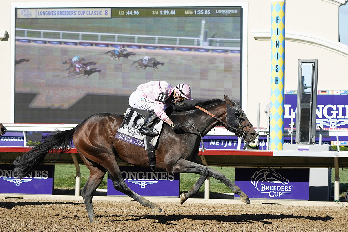 Sierra Leone Wins $7 million Breeders' Cup Classic - Watch Replay ...