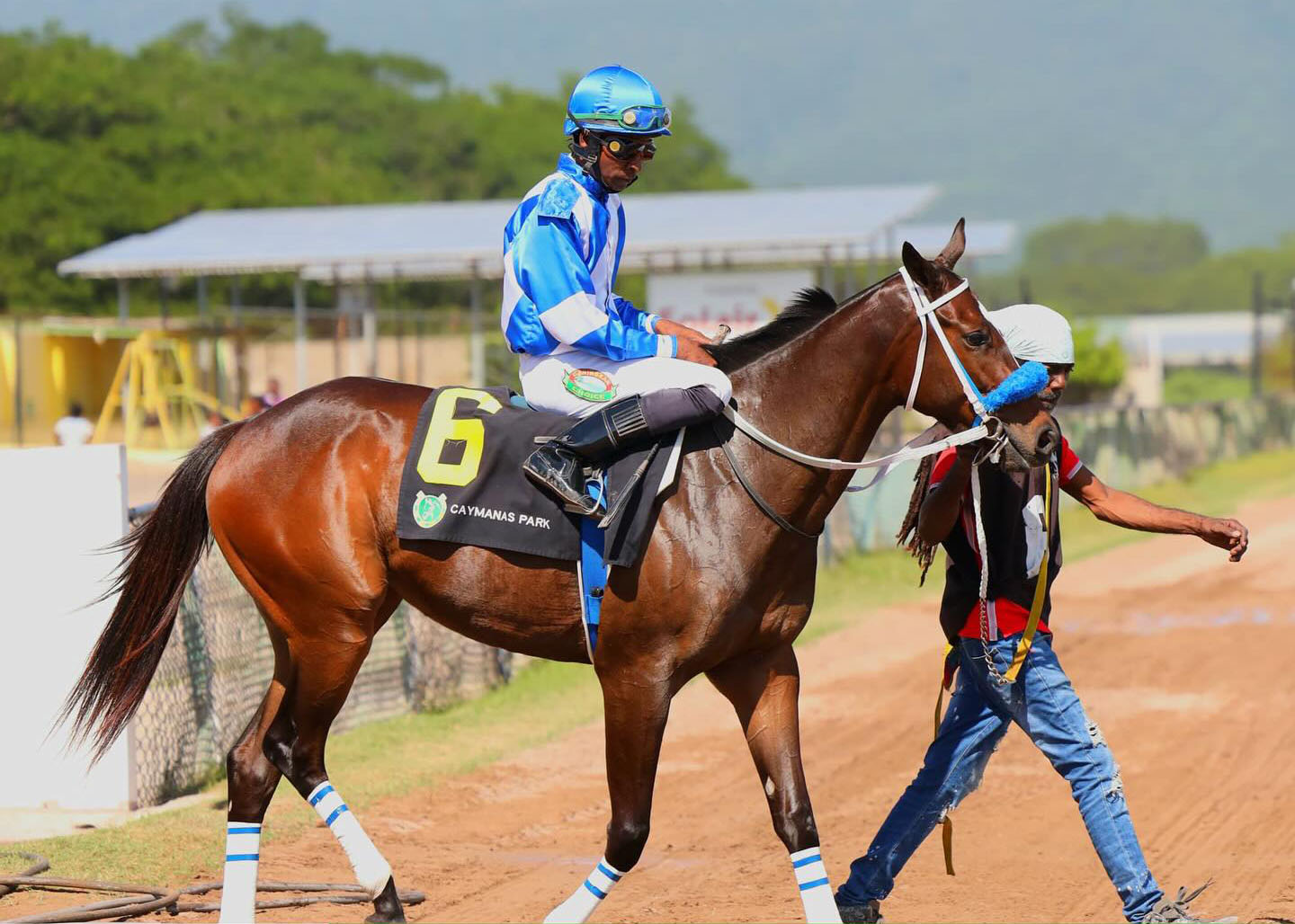Dissecting Results Of Saturday, December 14, 2024 - Quickgallopja.com