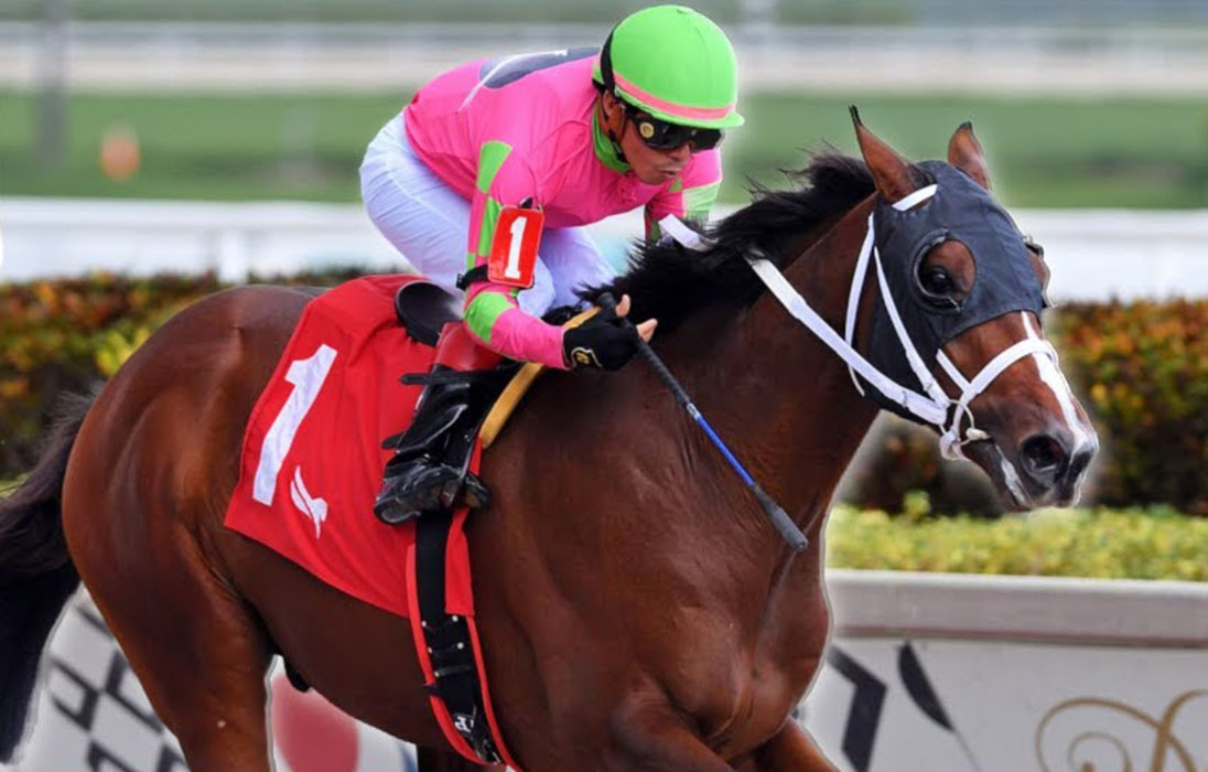 Watch Mouttet Mile Foreigner Legacy Isle First Gallop In Jamaica ...