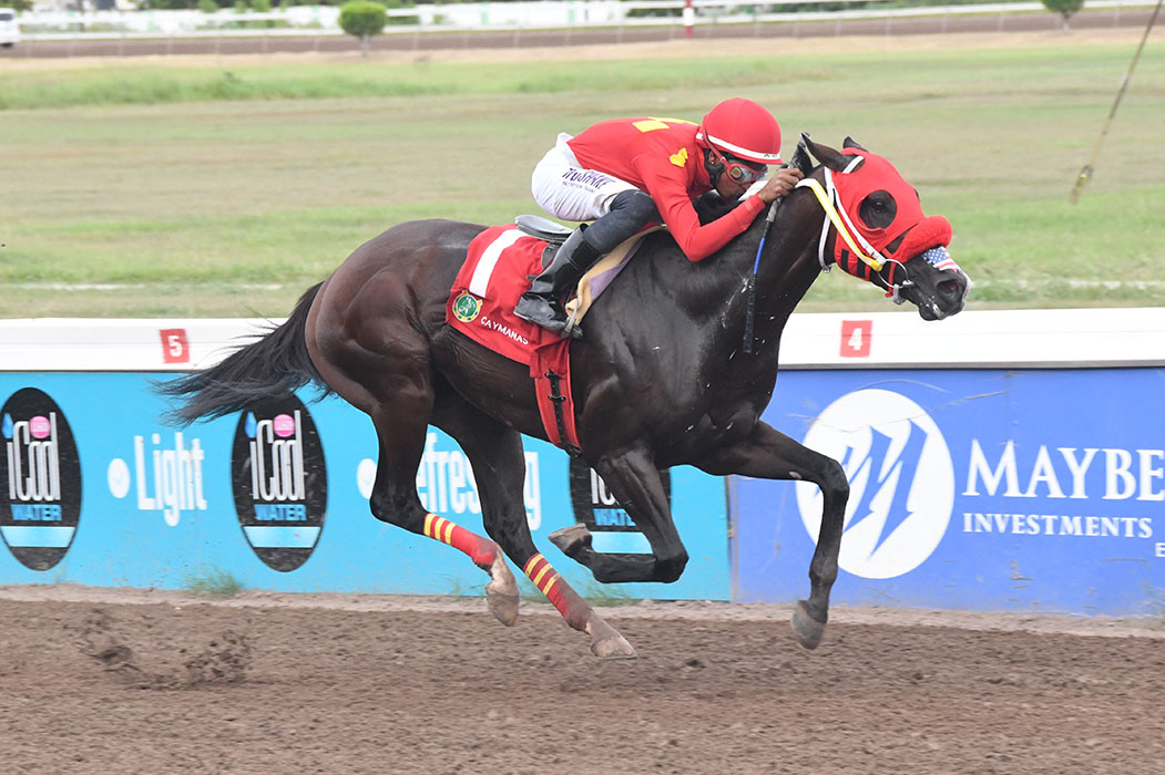 Mouttet Mile Major Contenders Wrap Up Preparation - Quickgallopja.com