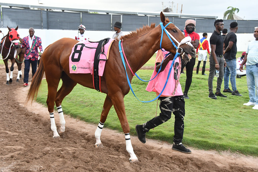 California Crown Returns After 151 Days Absence - Quickgallopja.com