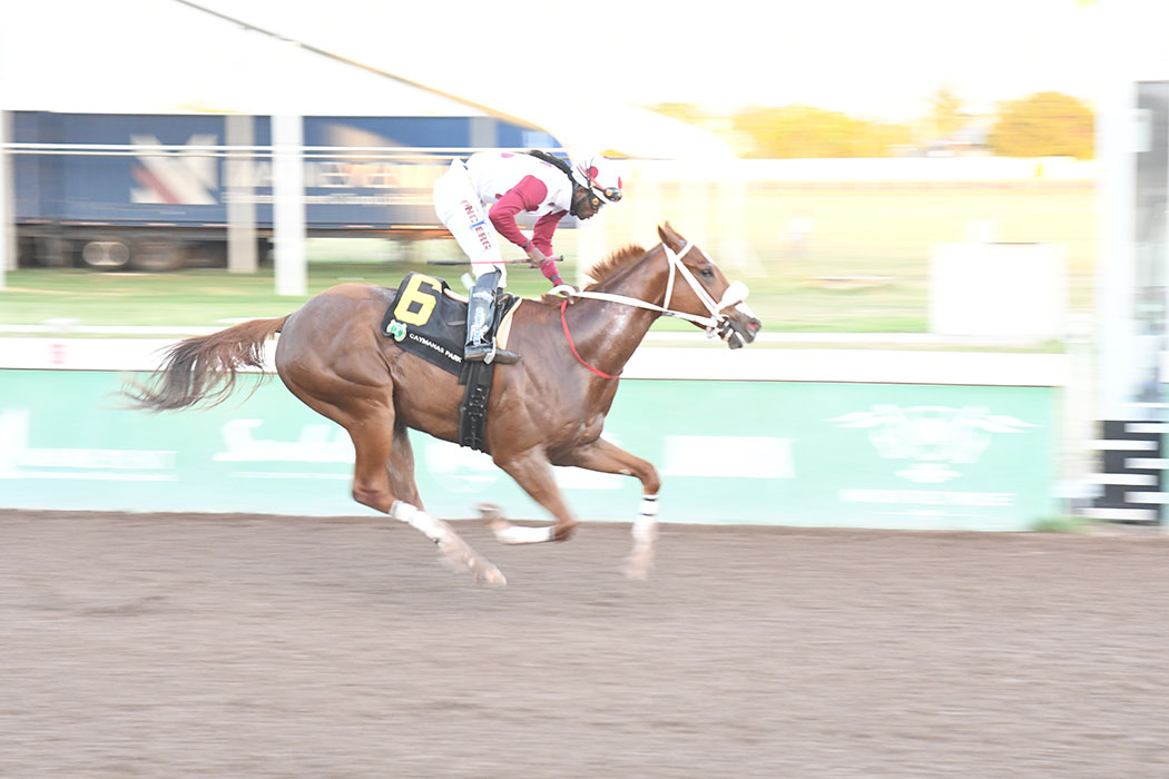 California Crown Wins First Time In Overnight - Quickgallopja.com