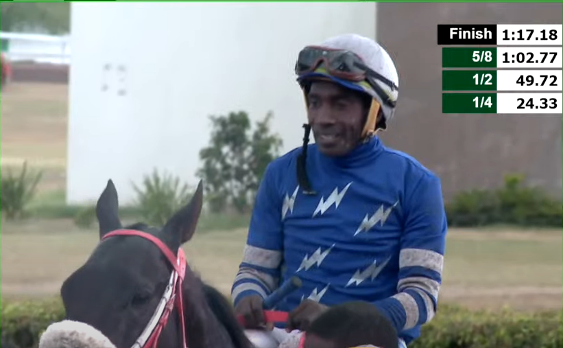 Musketoon Easily Takes Sun, Feb 23, 2025, 6th - Quickgallopja.com
