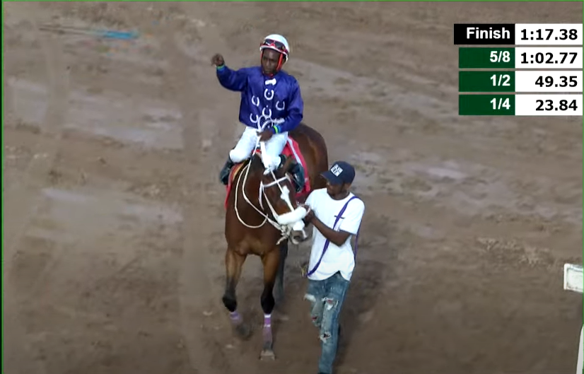 Sheer De Jour Breaks Lean Spell For Trainer Al Brown, Sat, Feb 15, 2025 ...