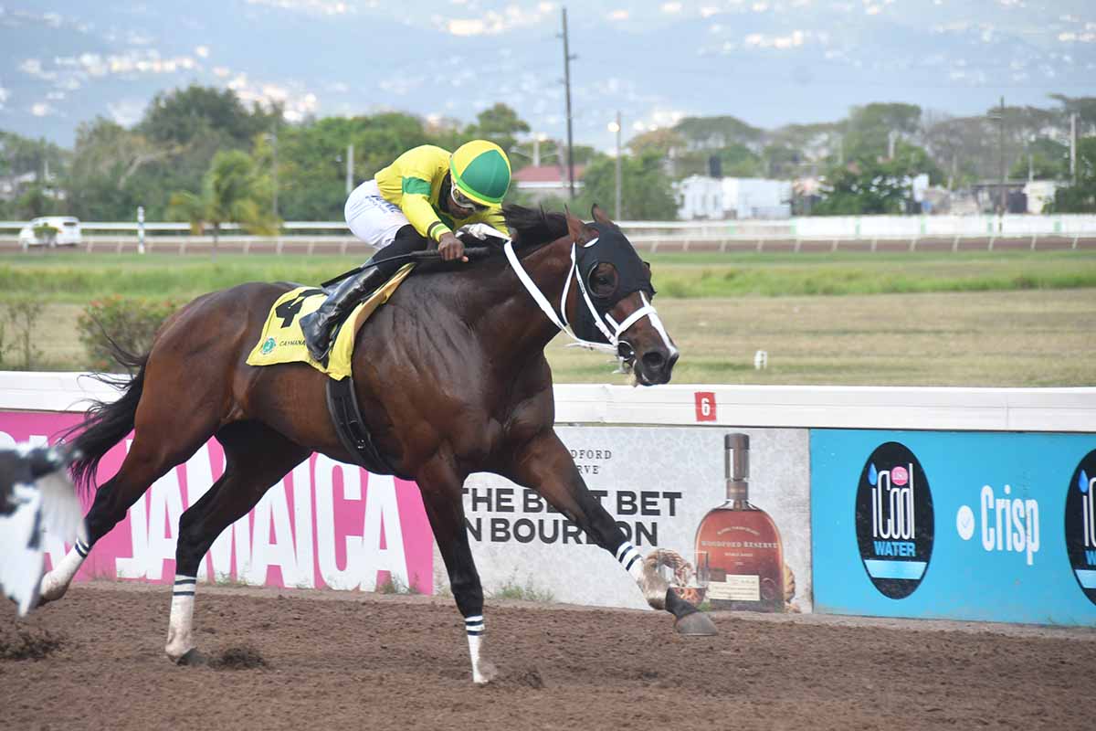 Legacy Isle Rebounds In Omar Walker Trophy - Quickgallopja.com