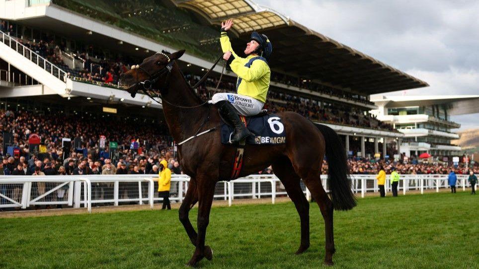 #UK RACING: Cheltenham Festival - Day 2 Highlights - Quickgallopja.com