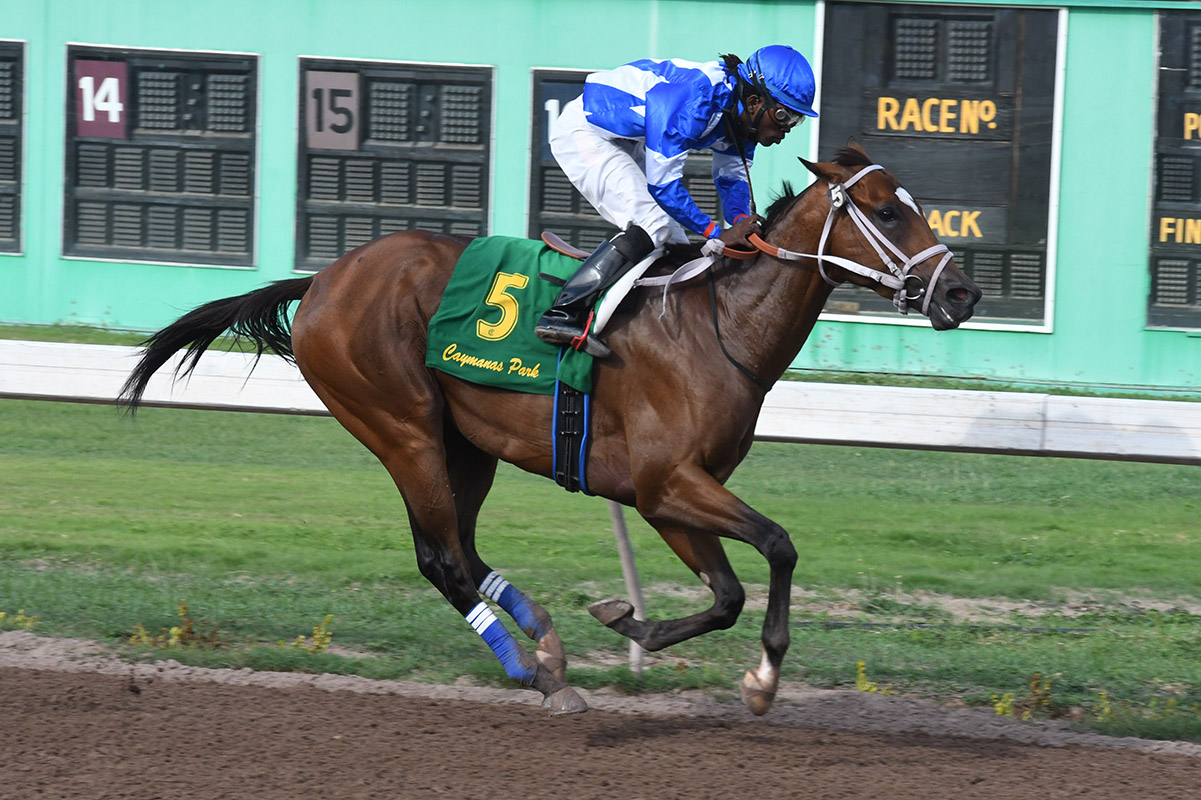 Past Winners Of The Sir Howard Stakes - Quickgallopja.com