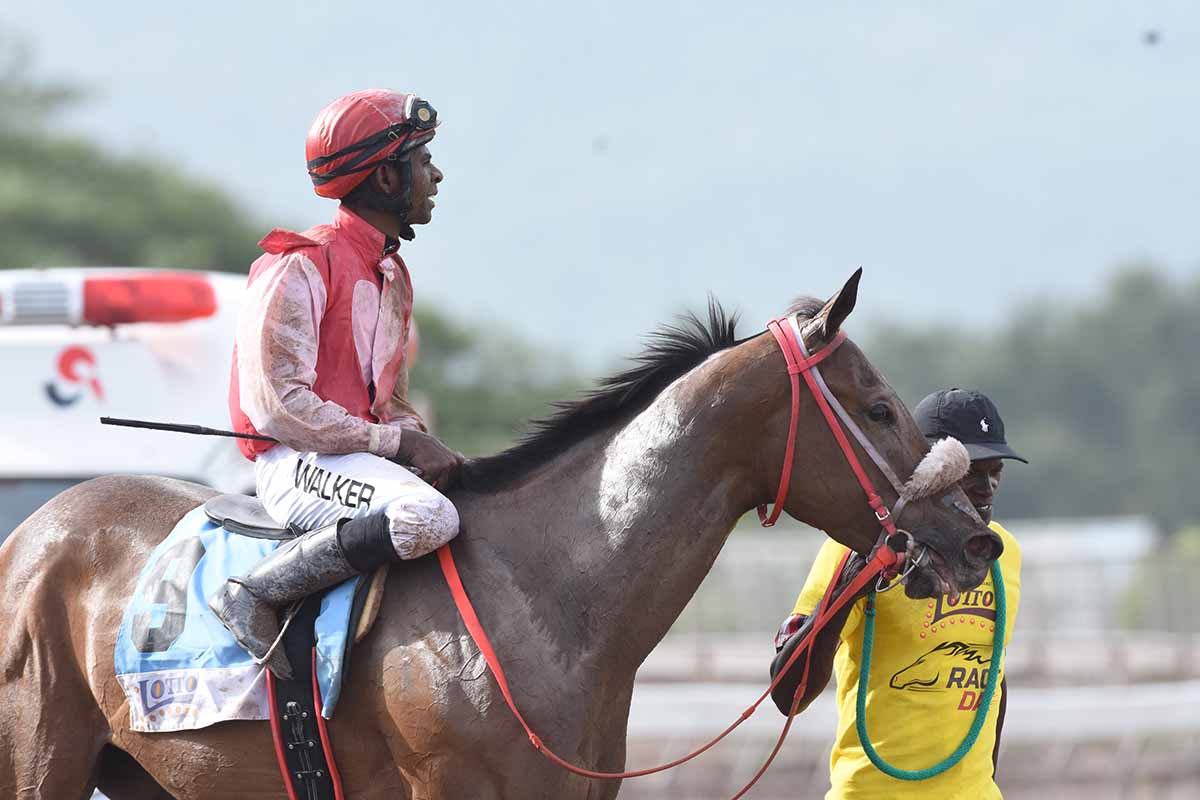Omar Walker Honoured With Special Race Day - Quickgallopja.com