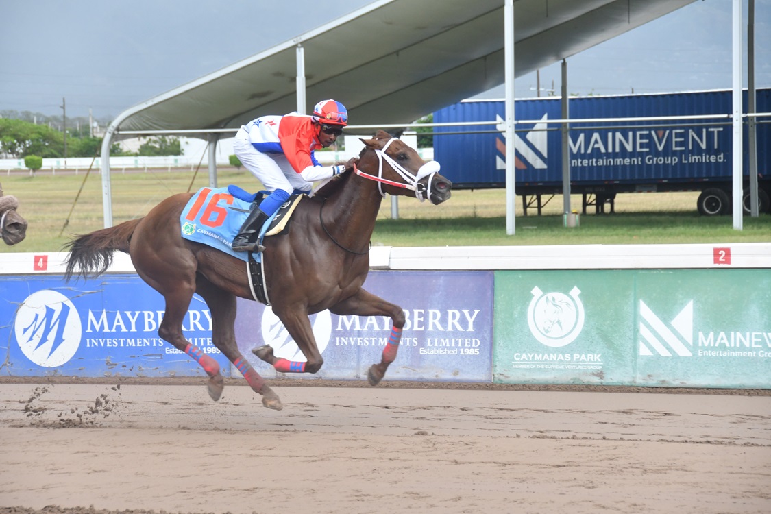 Watch All Finishes - Saturday, April 12, 2025 - Quickgallopja.com
