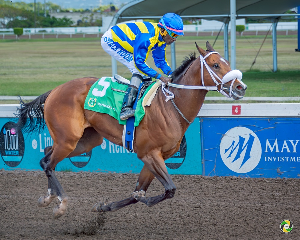 Trainer Anthony Nunes Holds The Key In 3-Y-O Non-Two - Quickgallopja.com