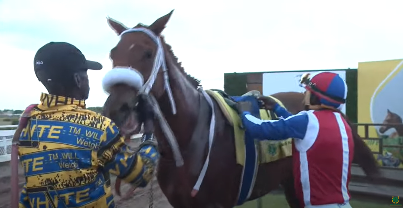 Sensational Soul Takes The Kingston, Sun, May 4, 2025, 8th ...