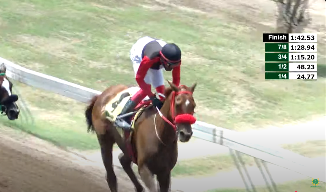Money Miser Returns To Form In Sat, May 31, 2025, 2nd - Quickgallopja.com